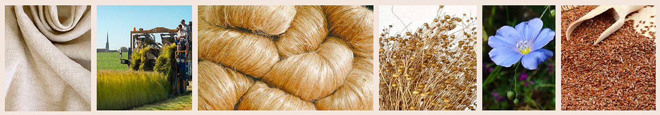 Salon de l’agriculture : le lin, star du stand de l’Eure - Eure en ...