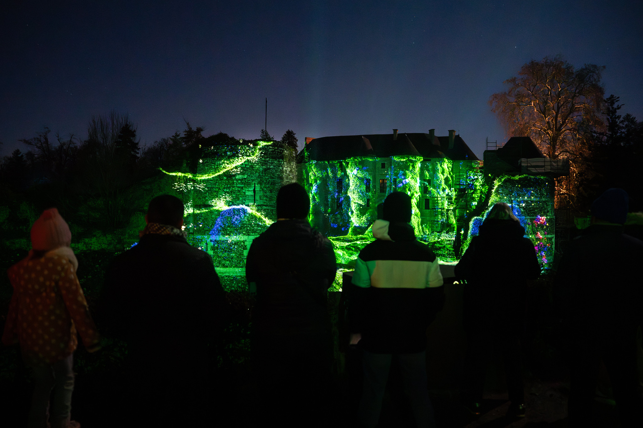 Arbora Lumina : l’incroyable parcours nocturne est ouvert ! - Eure en ...